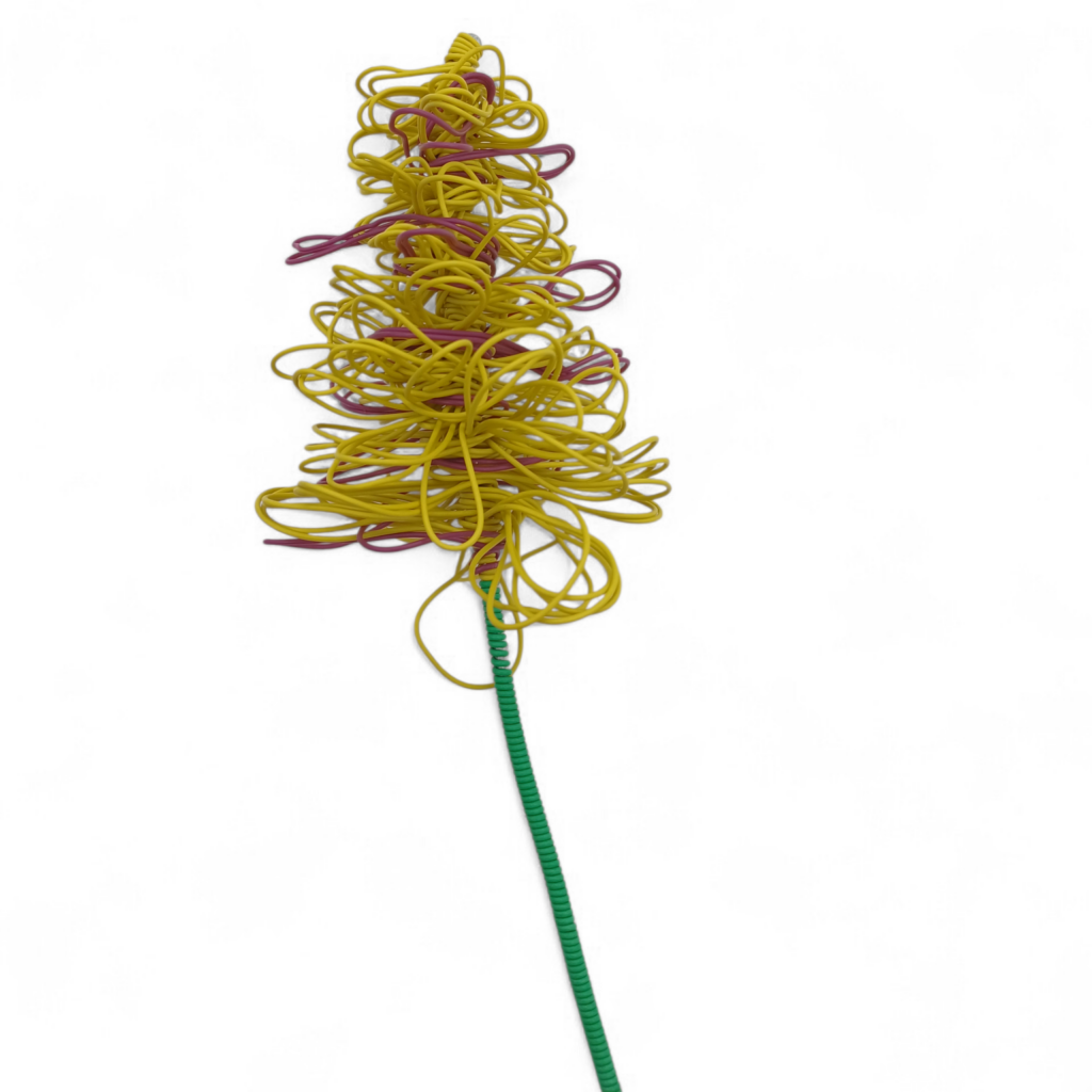 Sam's indigenous flowers: Aloe Flower - Woza Moya